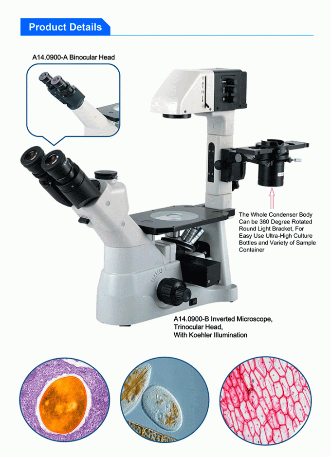 Kohler Illumination Inverted Light Microscope OPTO-EDU A14.0900